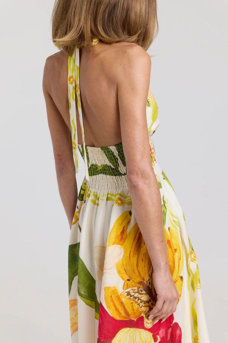 PALOMA SCARF DRESS - PALOMA - MAKU – EMIA FASHION